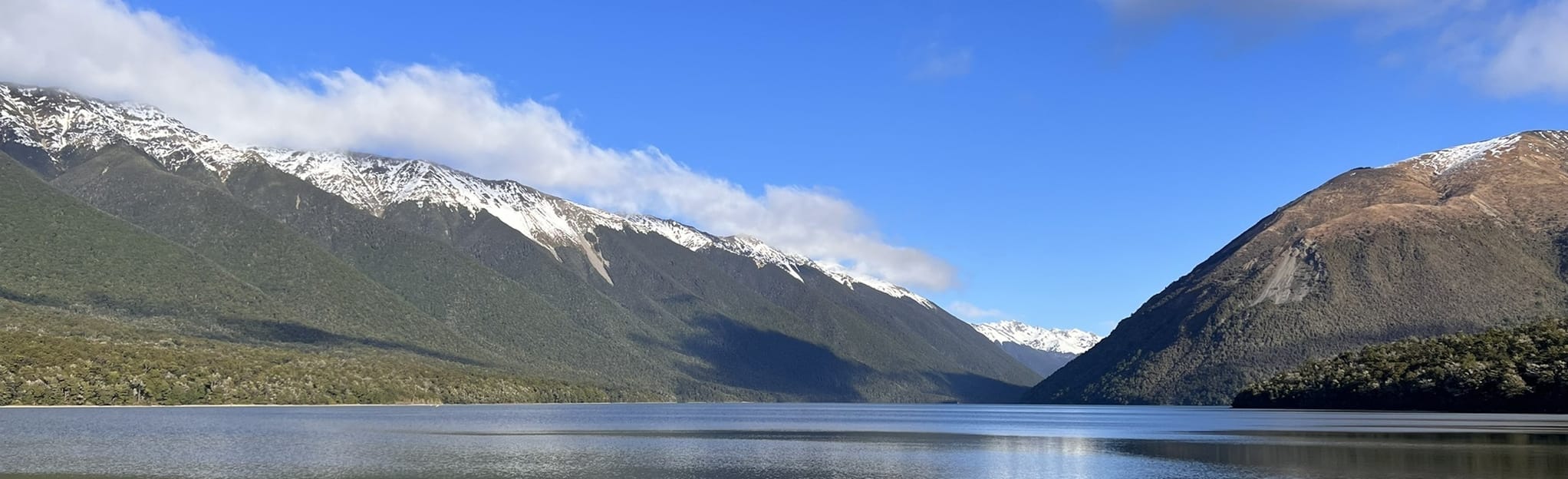 Brunner Penninsula Nature Walk, Nelson-Tasman, New Zealand - 63 Reviews ...