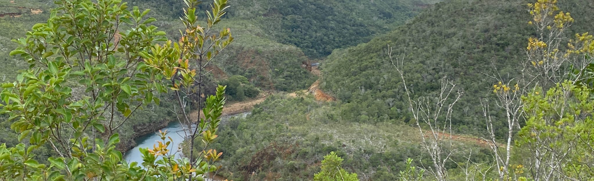 Dumbéa East Branch Loop: 14 Fotos - Südprovinz, Neukaledonien | AllTrails