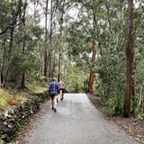 Mt Coot-tha Summit Track, Queensland, Australia - 409 Reviews, Map ...