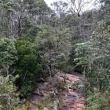 Mount Coot-tha Simpsons Falls Circuit, Queensland, Australia - 241 ...