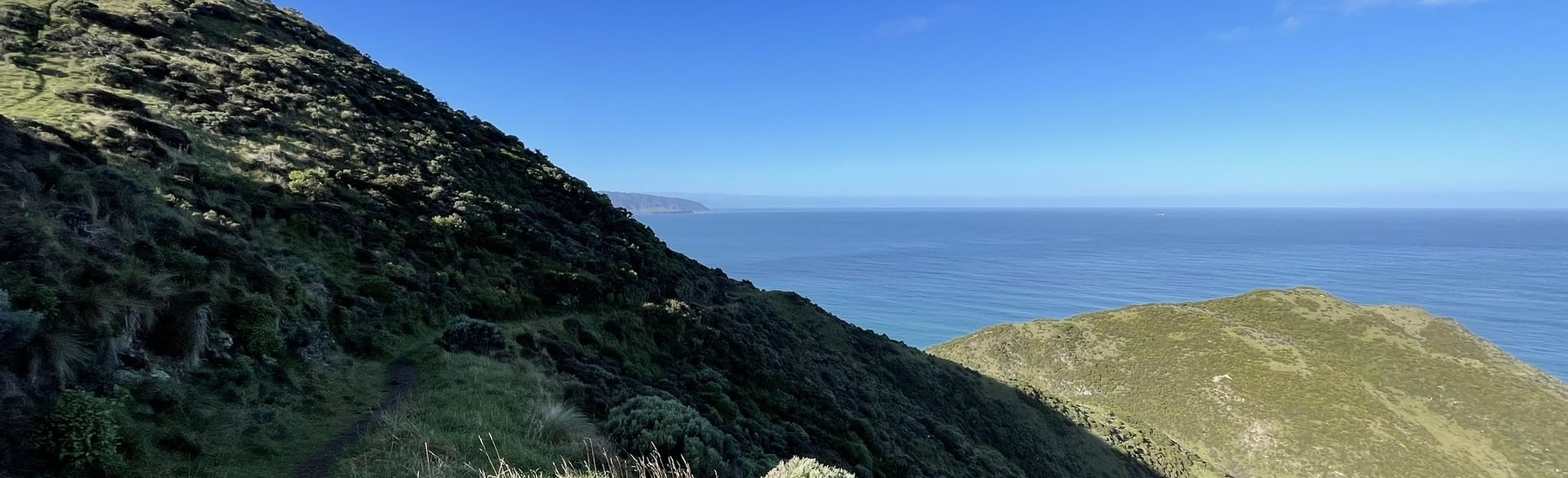 Tip Track and Red Rocks Coastal Walk Loop - Wellington, New Zealand ...