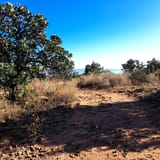 Sable Ranch Trail, Gauteng, South Africa - 213 Reviews, Map | AllTrails
