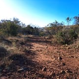 Sable Ranch Trail, Gauteng, South Africa - 213 Reviews, Map | AllTrails