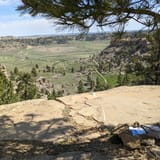 Phipps Park Trail, Montana - 400 Reviews, Map | AllTrails