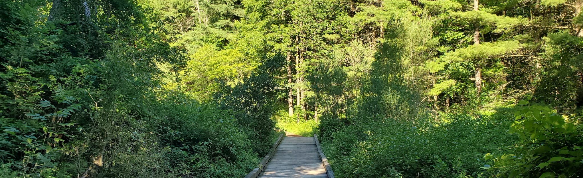 Headwaters Trail - Main Loop: 78 Reviews, Map - Ontario, Canada | AllTrails