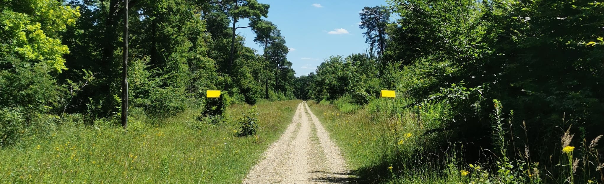Forêt de Saint Germain : Maison forestière - Gare Achères | Map, Guide ...