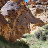 Timber Gulch, Oregon - 61 Reviews, Map | AllTrails