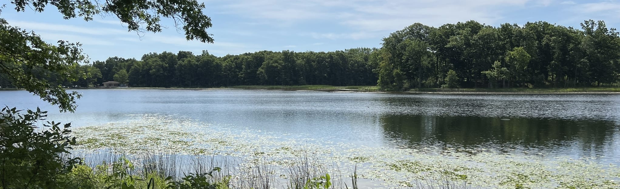 Independence Oak Full Outer Loop, Michigan - 224 Reviews, Map | AllTrails