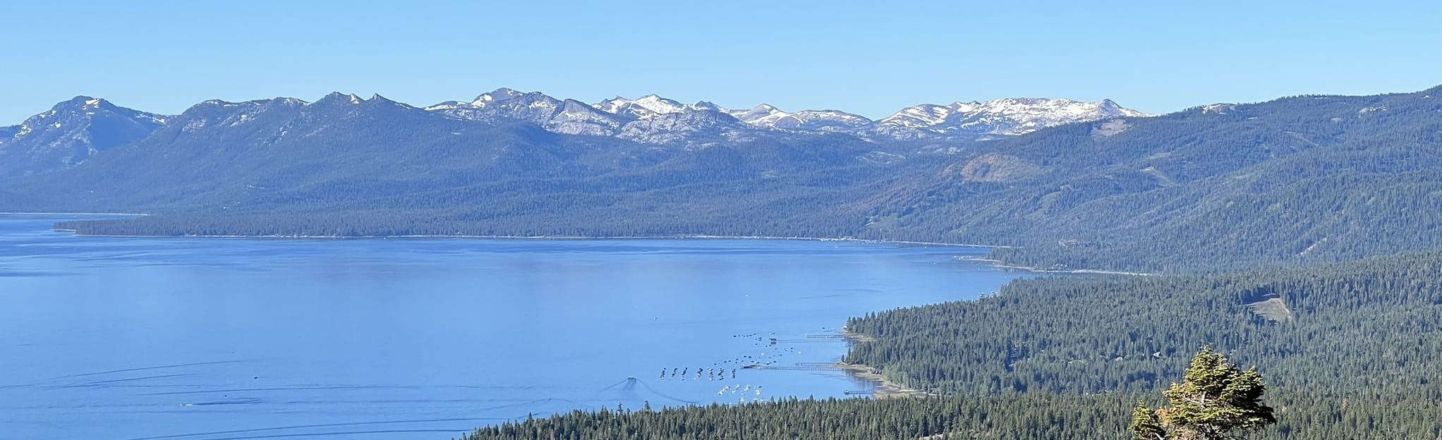 Mount Watson via Dollar Creek Path, Shale Trail and Cedar Flat Trail ...