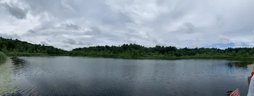 10 Best Forest Trails in Boston | AllTrails