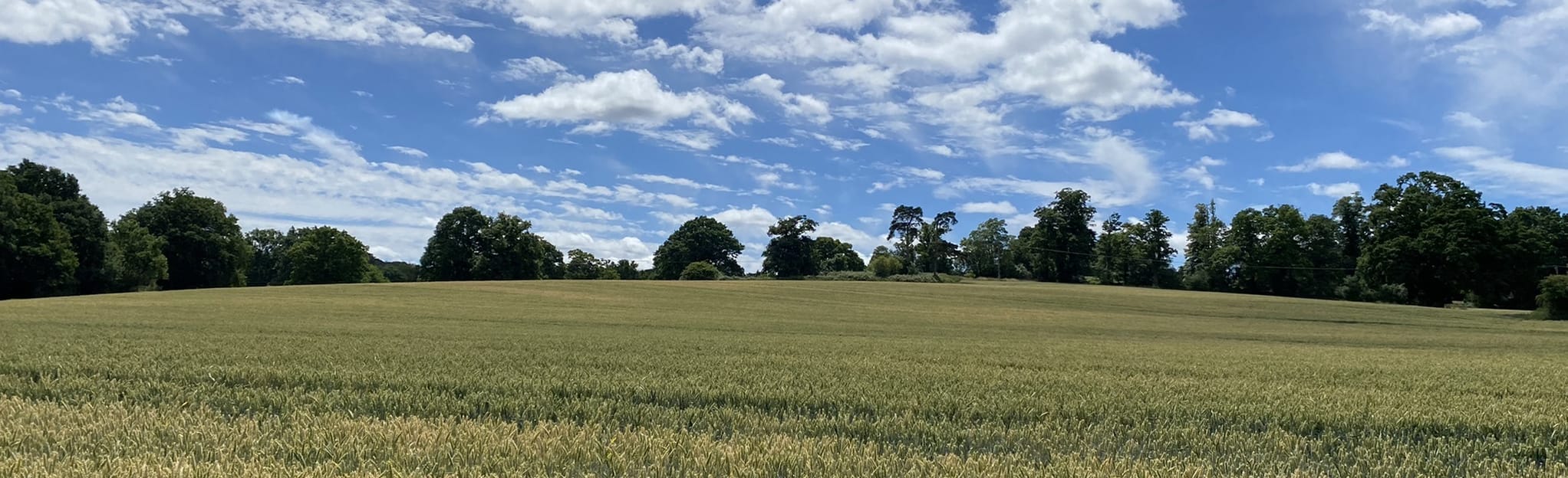 Dormansland, Starborough Castle, and Marsh Green Circular: 114 foto's ...