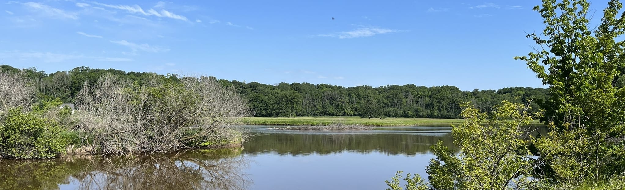 Henry Schuette Park: 119 fotos - Wisconsin | AllTrails