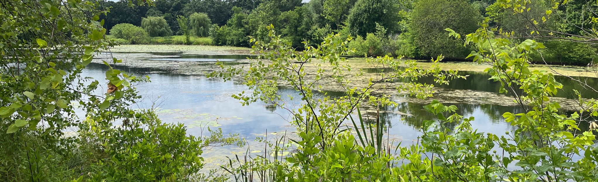 Fresh Pond Reservation Loop Trail, Massachusetts - 949 Reviews, Map ...