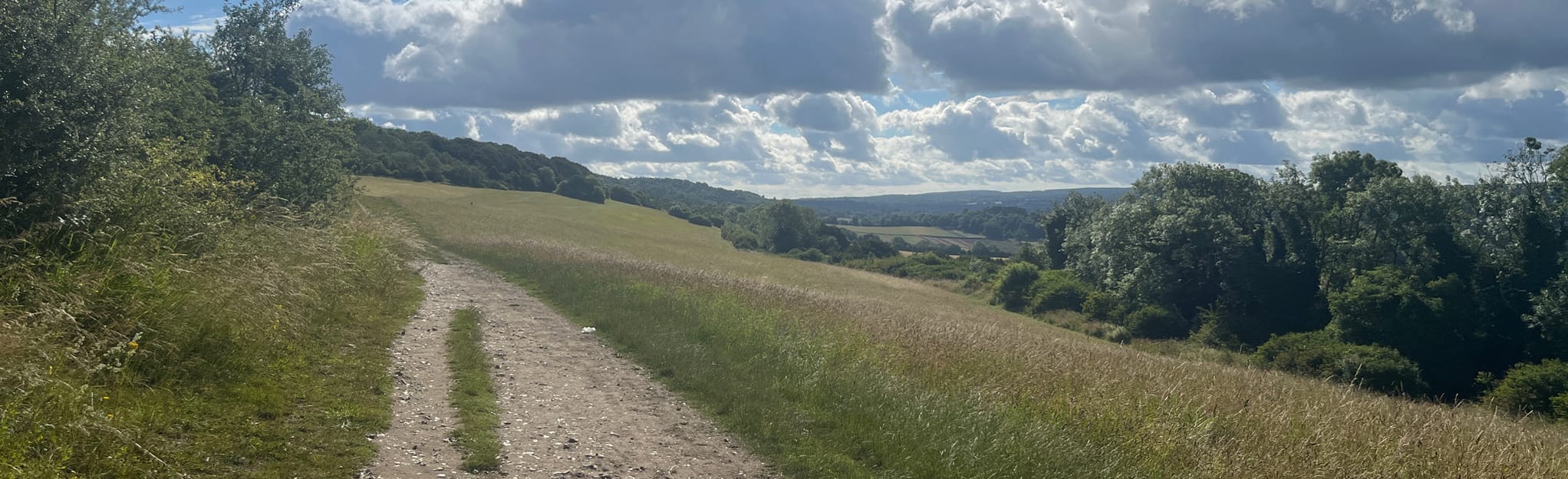 Merrow Downs and The Roughs Circular, Surrey, England - 53 Reviews, Map ...