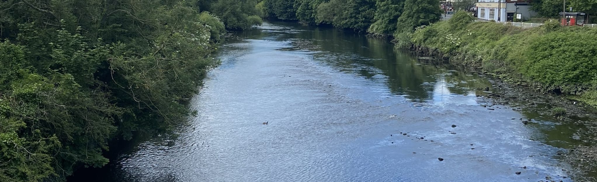 Cox Green and Reach Wood Circular, Tyne and Wear, England - 98 Reviews ...