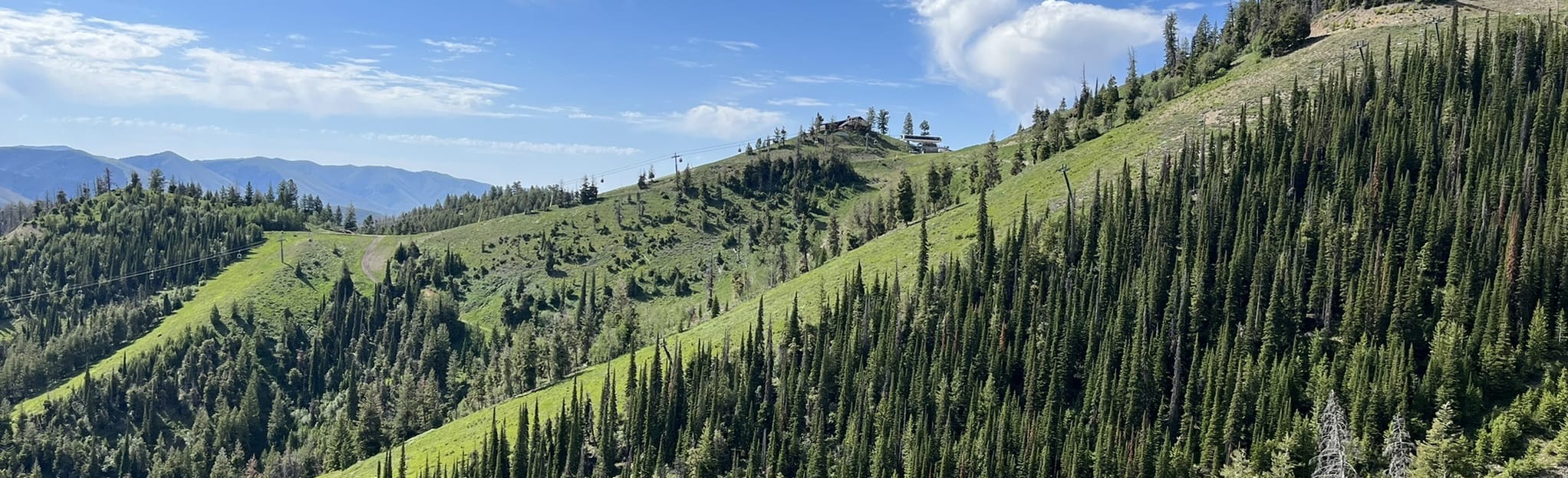 Roundhouse via Bald Mountain Trail, Idaho - 309 Reviews, Map | AllTrails