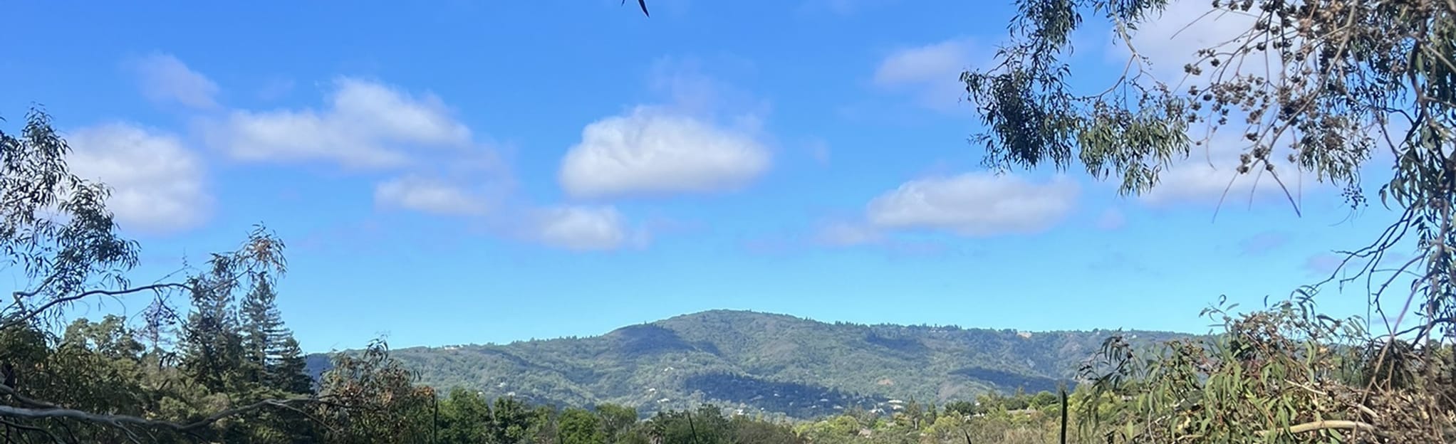 Vasona Lake Loop and Los Gatos Creek Trail - California | AllTrails