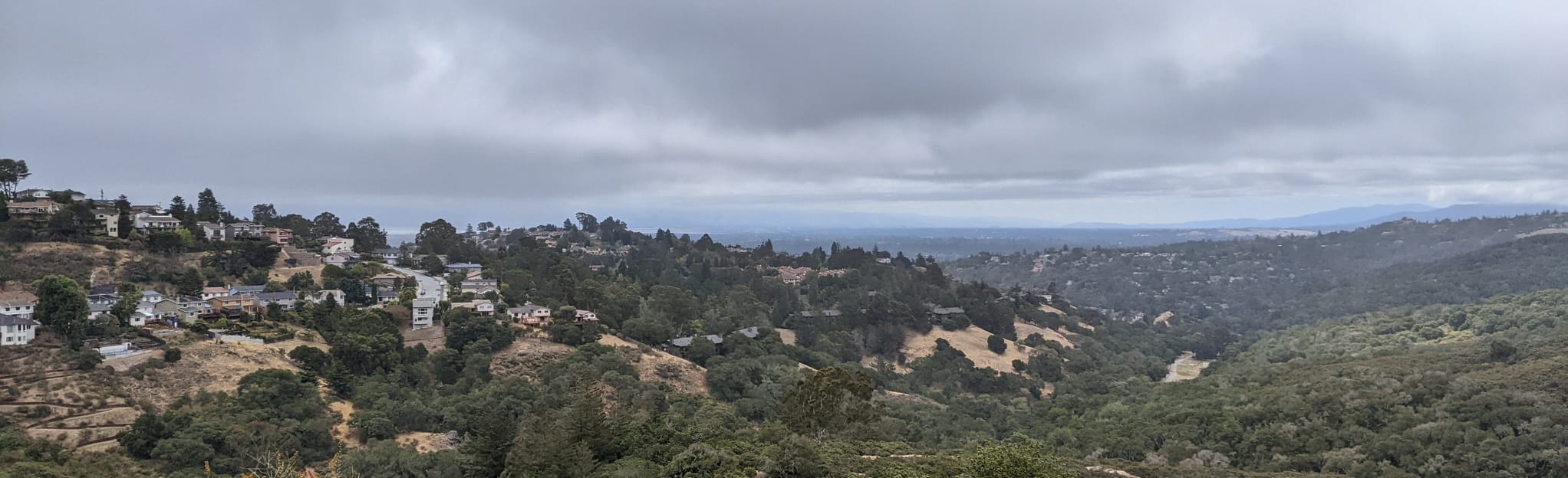 Dusky-Footed Woodrat and Cordilleras Trails - California | AllTrails
