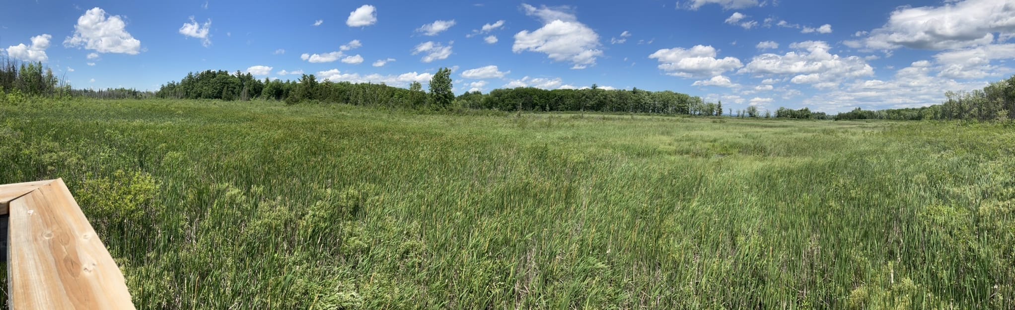 MacNamara Nature Trail, Ontario, Canada - 119 Reviews, Map | AllTrails