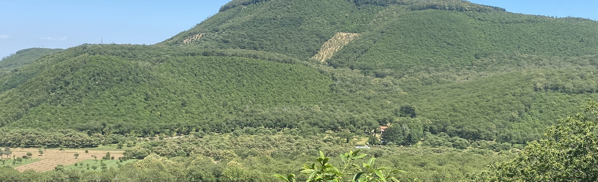 L'Orto della Regina di Roccamonfina: 10 Fotos - Kampanien, Italien ...