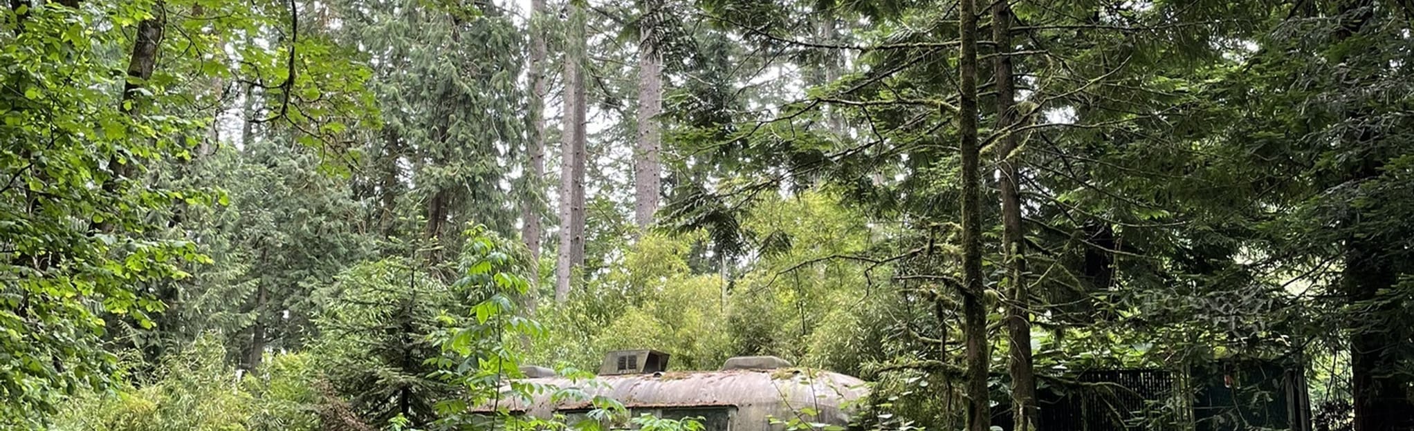 Springville Road, Oregon - 116 Reviews, Map | AllTrails