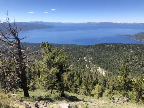 10 Best Hikes and Trails in Mount Rose Wilderness | AllTrails