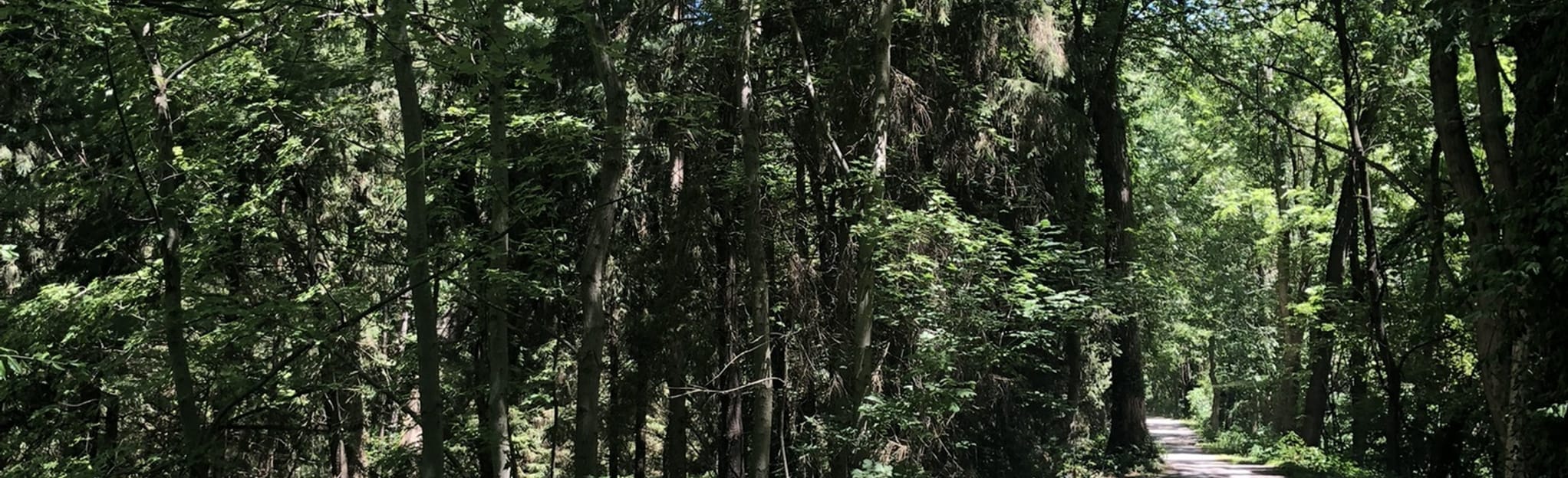 Ohio and Erie Canal Towpath: Canal Fulton to Massillon: 222 Reviews ...