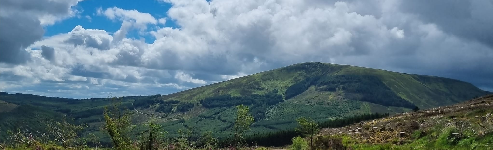 Slieve Felim Way: 218 fotos - County Limerick, República da Irlanda ...