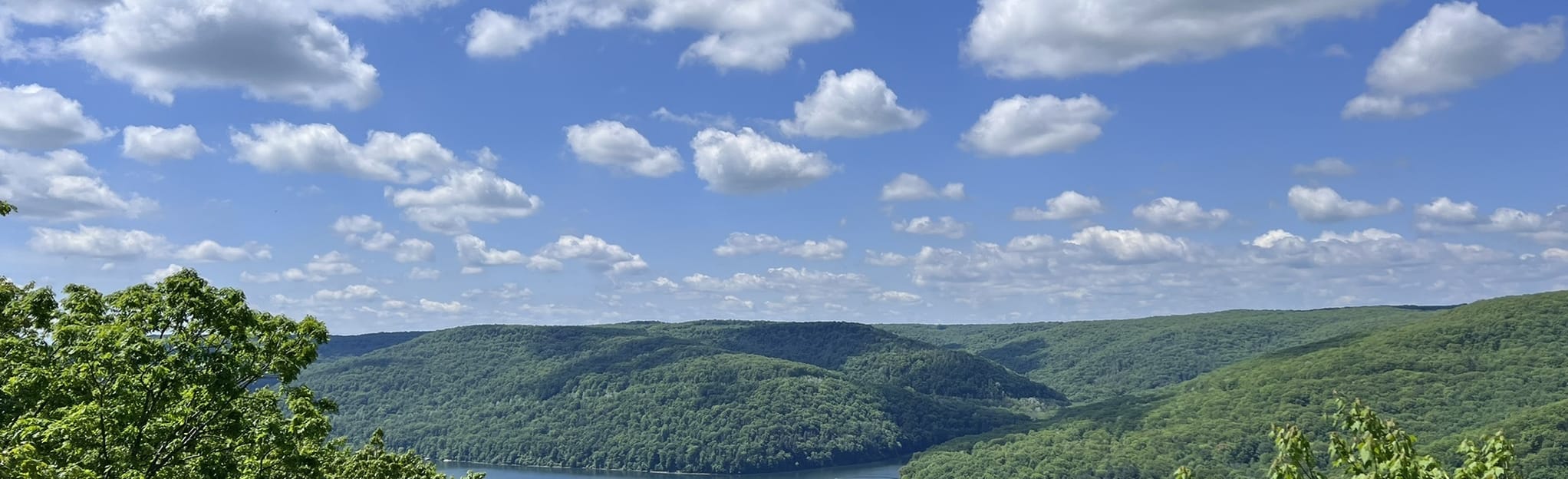 Rimrock Overlook Trail: 330 Reviews, Map - Pennsylvania | AllTrails