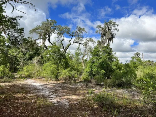 Best Hikes and Trails in Rye Preserve | AllTrails