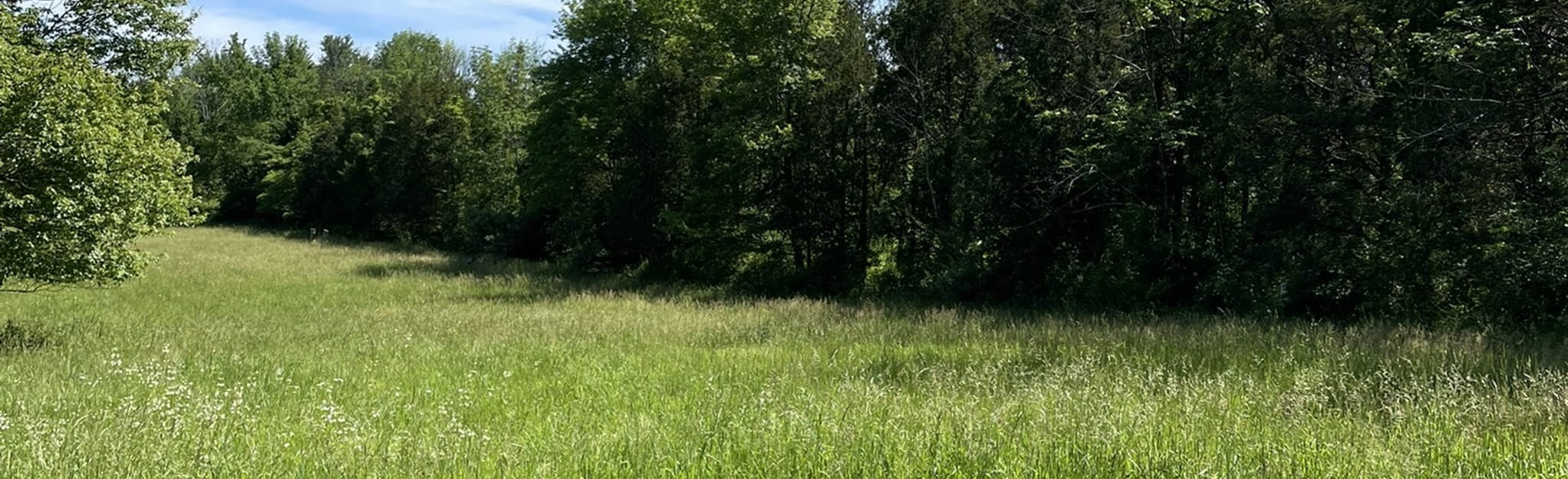 Oak Bridge Trail: 34 Reviews, Map - New Jersey | AllTrails