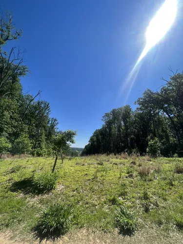 Best Kid Friendly Trails in Oregon Ridge Park | AllTrails