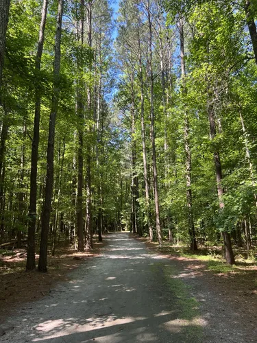 10 Best Trails and Hikes in Suffolk | AllTrails