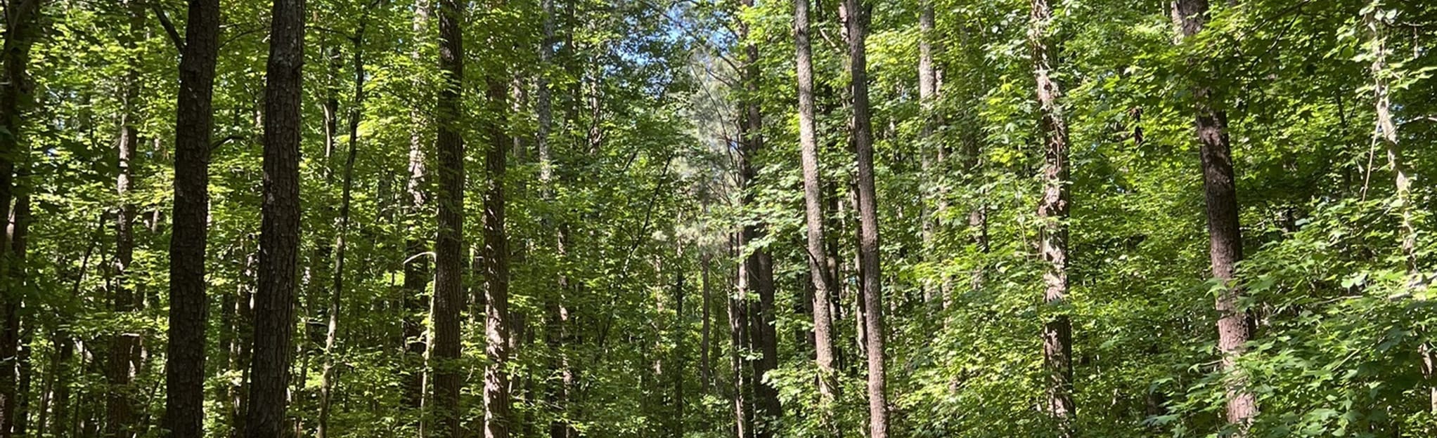 Lake Meade Park Loop Trail, Virginia - 140 Reviews, Map | AllTrails