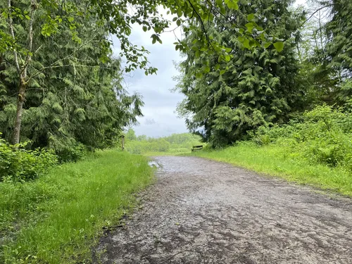 2023 Best 10 Trails and Hikes in Issaquah | AllTrails