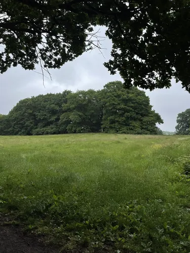 Best Hikes and Trails in Hampstead Heath | AllTrails