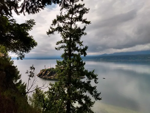 10 Best Trails and Hikes in Comox Valley A | AllTrails