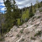 Whipple Trail, Utah - 243 Reviews, Map | AllTrails