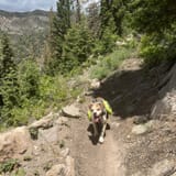 Whipple Trail, Utah - 243 Reviews, Map | AllTrails