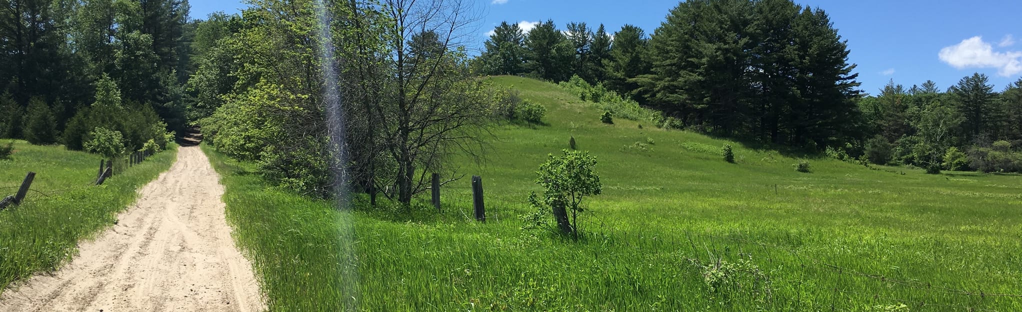 Oak Ridges Moraine Trail: Ganaraska Forest (Central Area), Ontario ...