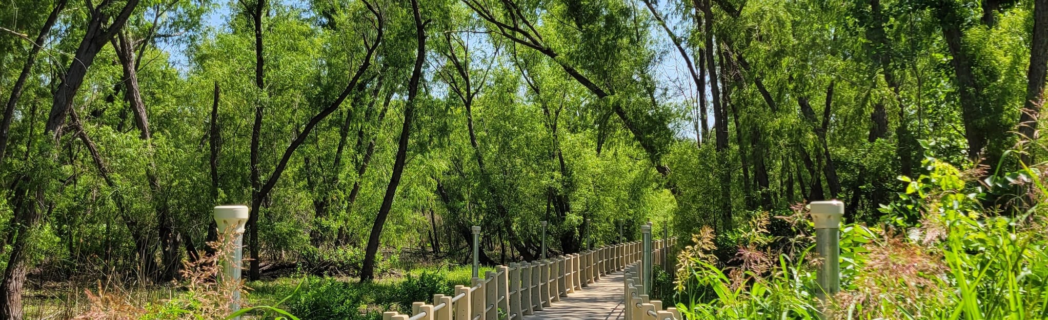 The Boardwalk at Lake Weatherford, Texas - 85 Reviews, Map | AllTrails