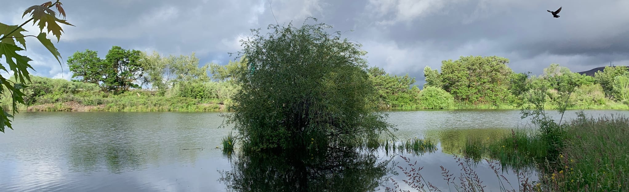 Yakima Greenway: 150 Reviews, Map - Washington | AllTrails