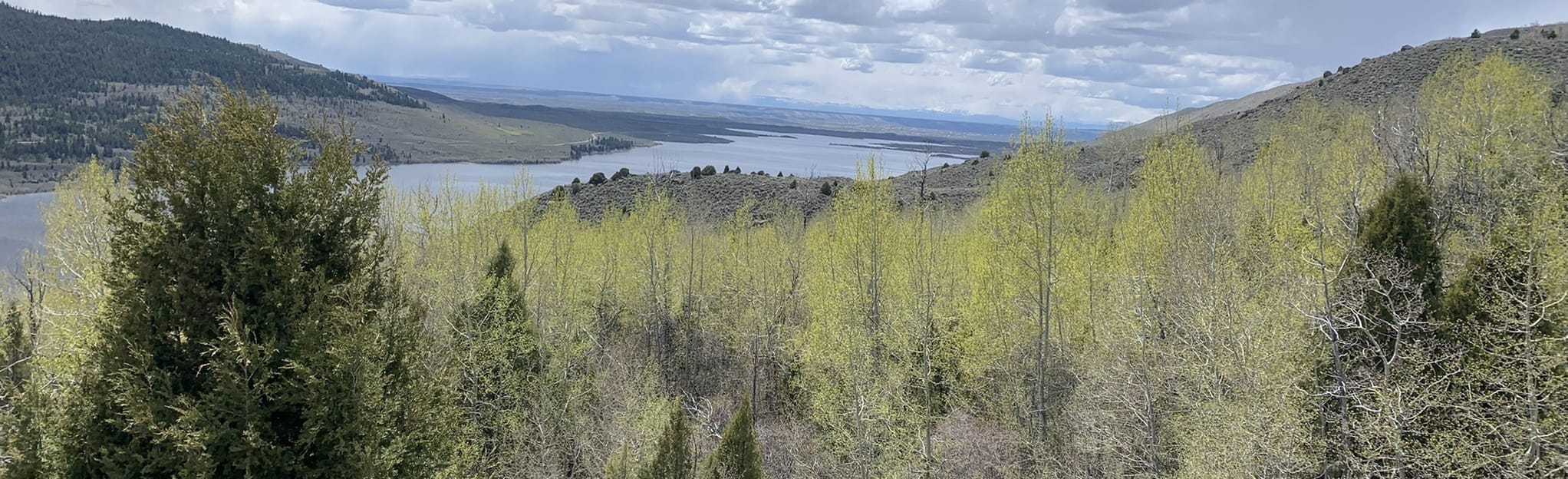 Blueberry Lake Trail, Wyoming - 47 Reviews, Map | AllTrails