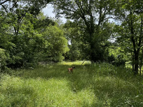 Best Hikes and Trails in Granger Wildlife Management Area | AllTrails