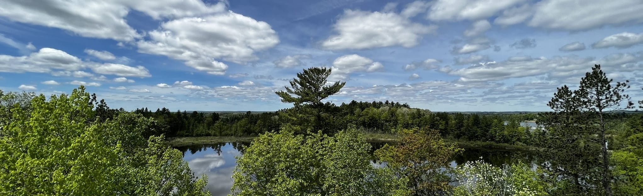 Rifle River Loop, Michigan - 84 Reviews, Map | AllTrails