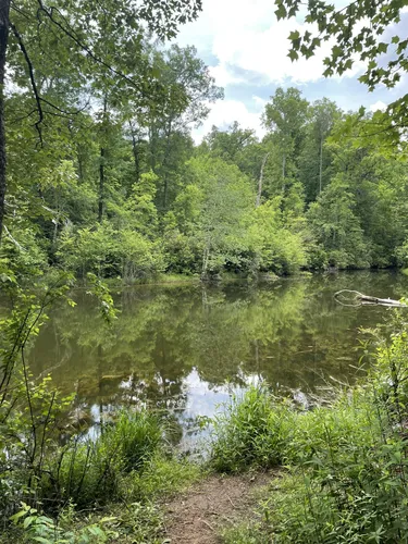 Best Hikes and Trails in Tall Pines Wildlife Management Area | AllTrails