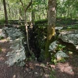 Hickory Ridge Outer Trail, Tennessee - 351 Reviews, Map | AllTrails