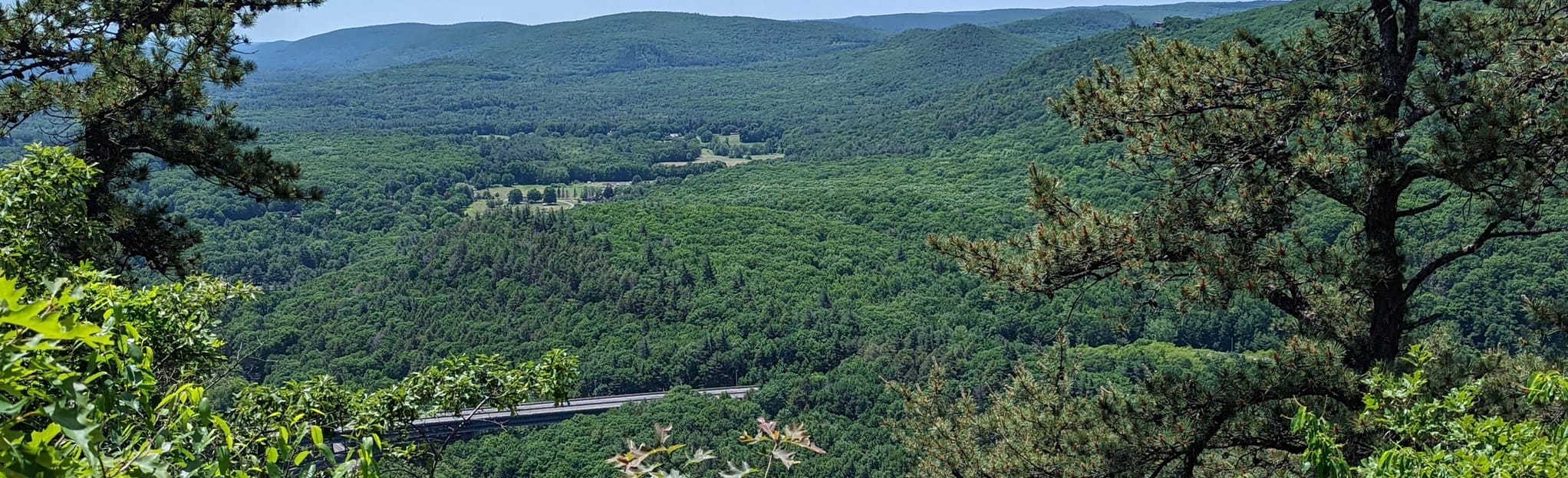 Tekoa Beaver Pond Loop - Massachusetts | AllTrails