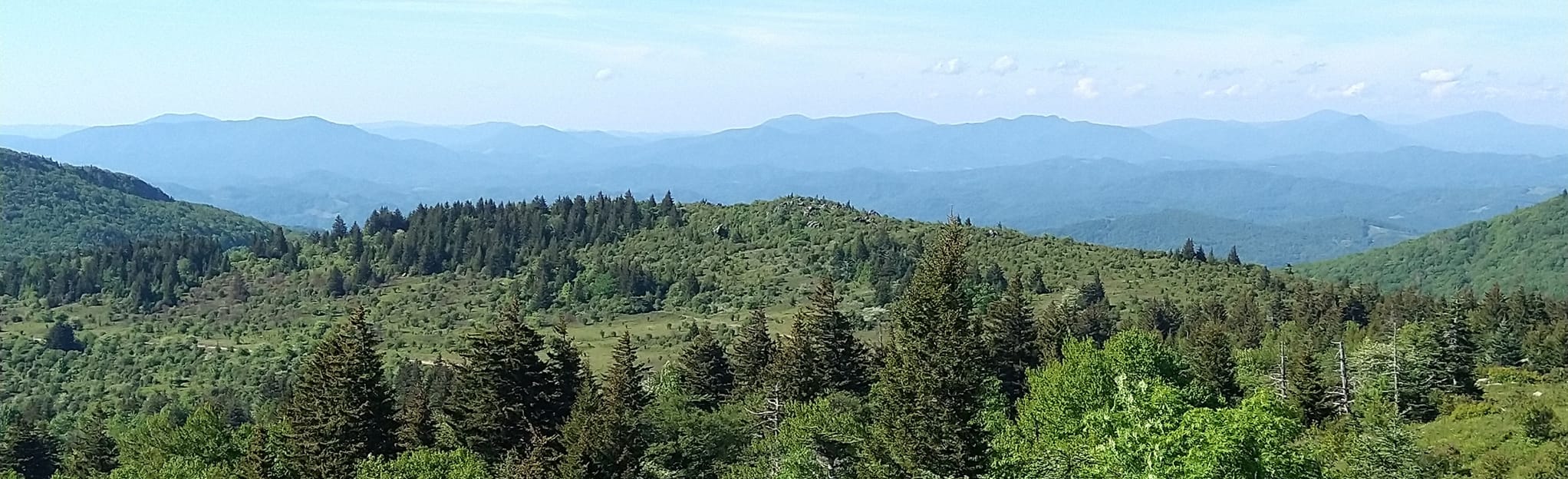 Mount Rogers and Appalachian Trail Loop, Virginia - 269 Reviews, Map ...