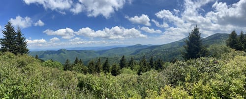 Best 10 Hikes and Trails in Mount Mitchell State Park | AllTrails